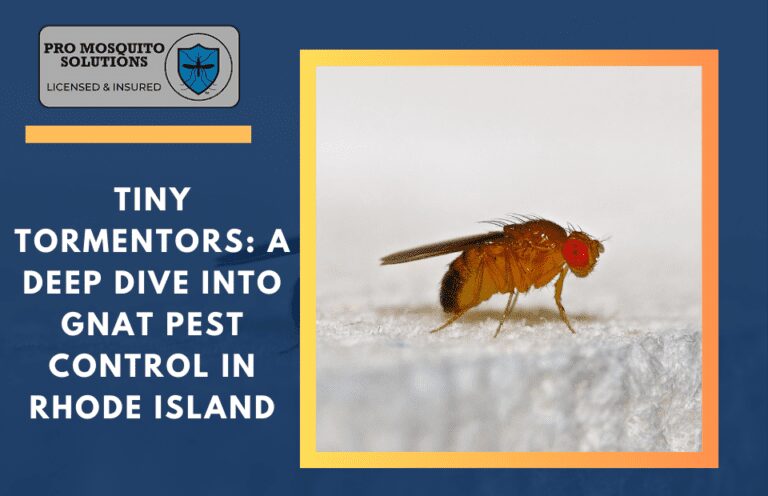 A Deep Dive into Gnat Pest Control in Rhode Island