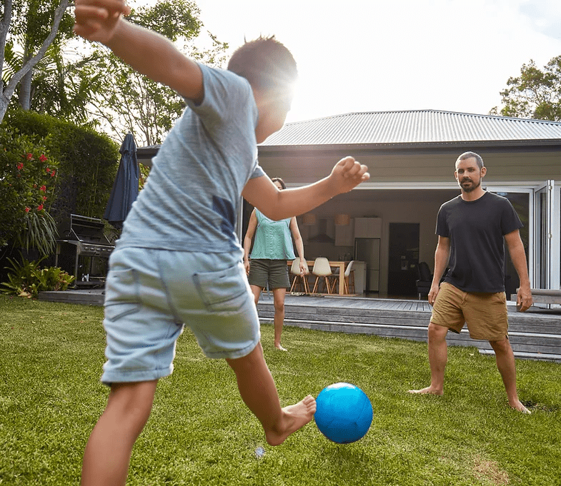 Pro Mosquito Solutions: Rhode Island Pest Control Experts