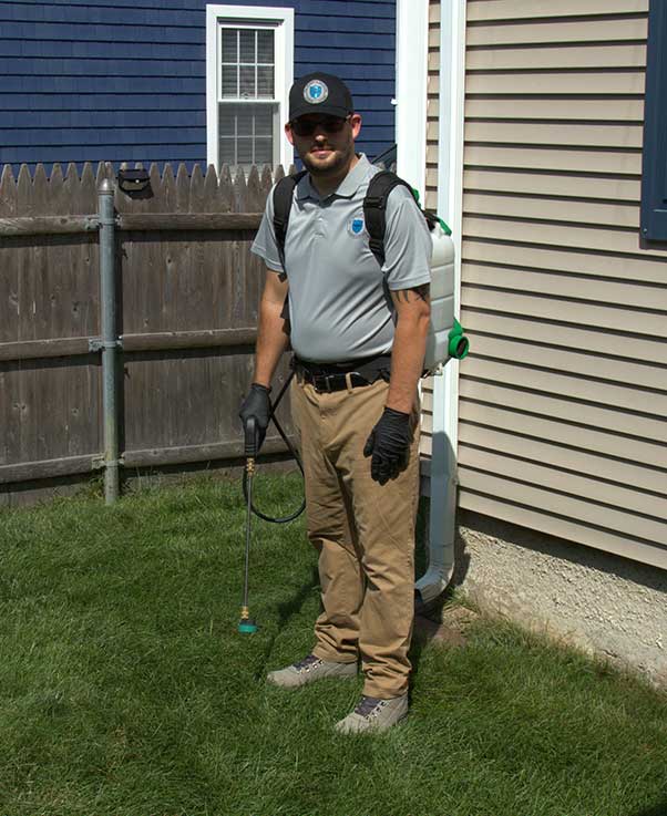 Effective Ant Control Solutions by Pro Mosquito Experts